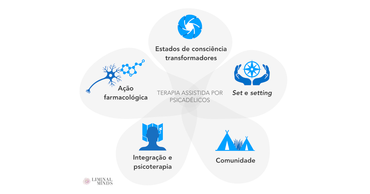 Terapia assistida por psicadélicos | Clínica Liminal Minds