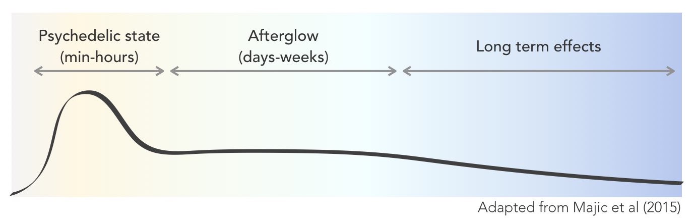 Psychedelic-Assisted Therapy | Liminal Minds Clinic